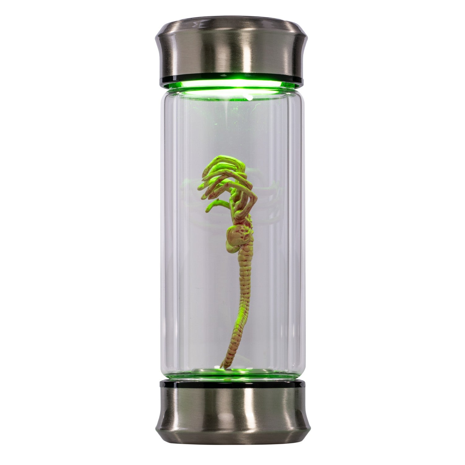 Alien Critter Embryo in Jar Glass Bottle with Display Box 8” Collectib